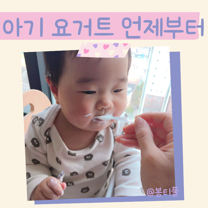 아기 요거트 언제부터 시기 양 만들기 방법 네이버 블로그
