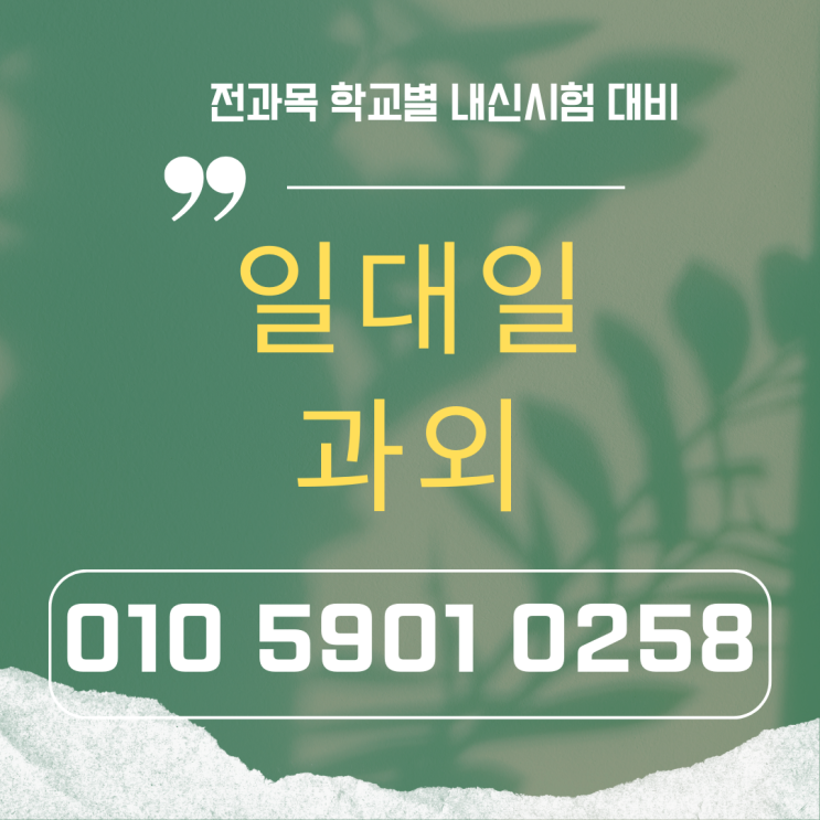양천구 신월동과외 신정동 영어 수학 경력있는 과외선생님 무료 시범수업으로 시작 네이버 블로그