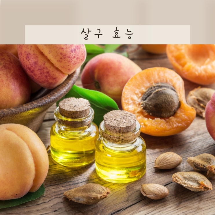 살구효능 및 영양성분 맛있는 제철은 언제일까살구씨 부작용 네이버 블로그