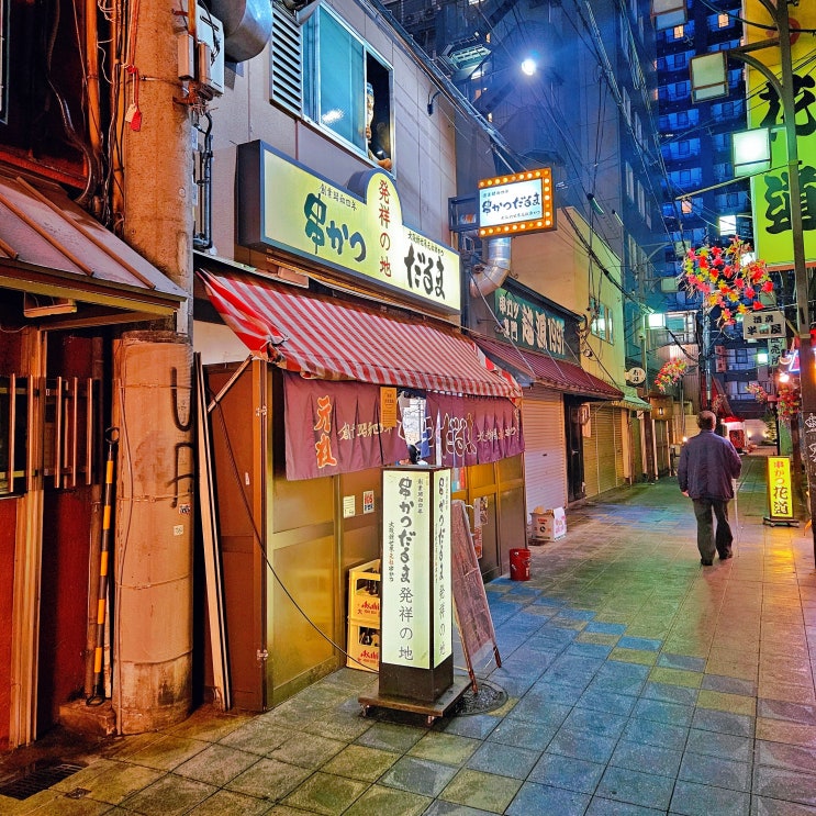 일본 오사카 여행준비 비짓재팬앱 등록방법 간사이공항 입국심사 신고서 네이버 블로그