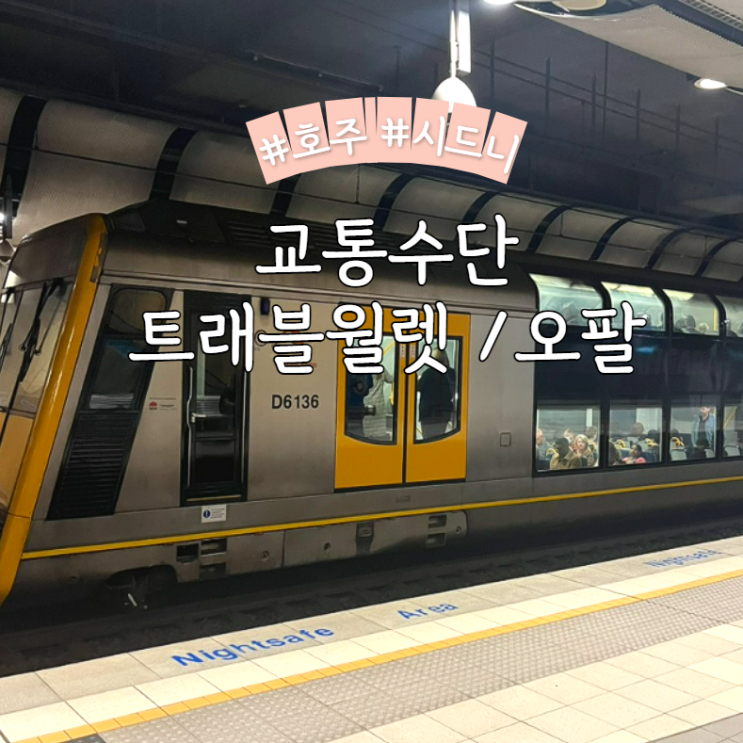 호주 시드니 뚜벅이 자유여행 지하철 트래블월렛 탑승후기 요금 노선도 환승방법 ♥ 네이버 블로그