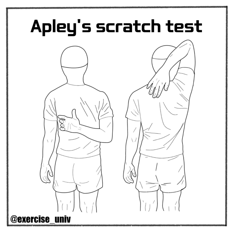 Apley's scratch test / 어깨 가동범위 및 오십견 검사 : 네이버 블로그