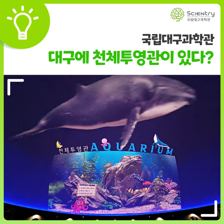 대구 아이와 가볼만한곳 대구에도 천체투영관이 있다 국립대구과학관🌌 네이버 블로그