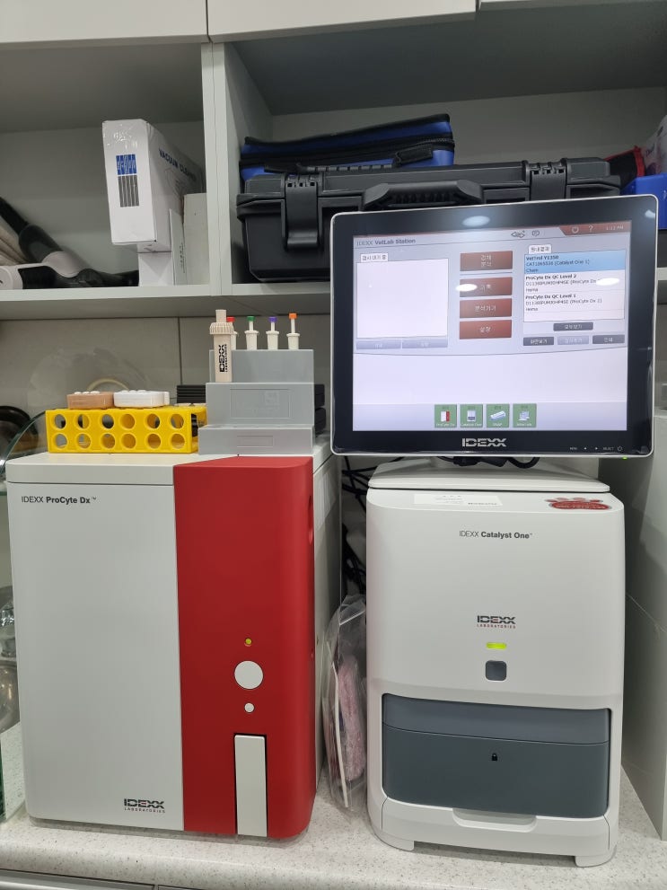 혈액검사 장비 업그레이드 안내 / IDEXX(아이덱스) Procyte Dx, Catalyste one : 네이버 블로그