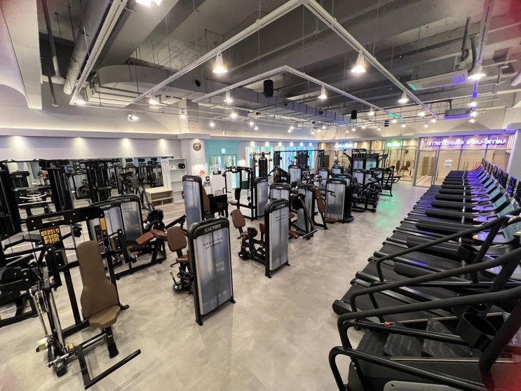 장산역헬스장좌동pt 연중무휴로 운동하기 좋은 곳 저스트플레이짐 네이버 블로그