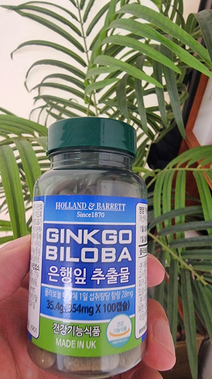 뇌에 좋은 영양제 기억력 개선이 될까 네이버 블로그