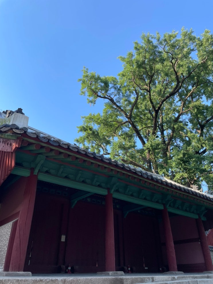 [SKK GSB] 직장인 프로그램 Professional MBA 선택한 이유 :) : 네이버 블로그