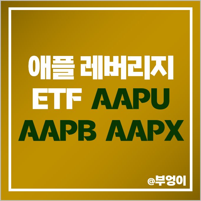 AAPL 애플 주식 미국 레버리지 ETF AAPU AAPB AAPX 주가 배당 : 네이버 블로그
