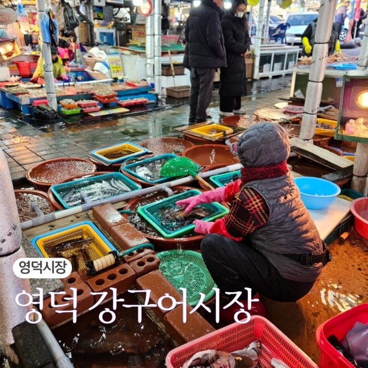 영덕 강구어시장 동광어시장 기본정보 대게 시세 볼거리 주차정보 네이버 블로그
