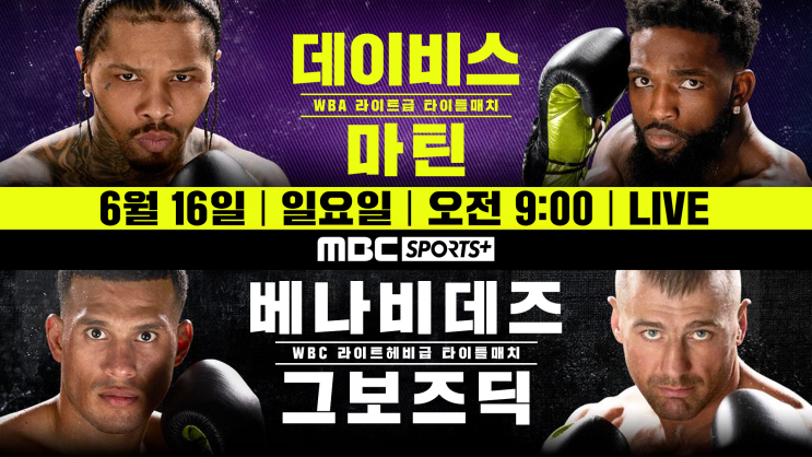 'WBA 라이트급 타이틀 매치' 저본타 데이비스 vs 프랭크 마틴 생중계 : 네이버 블로그