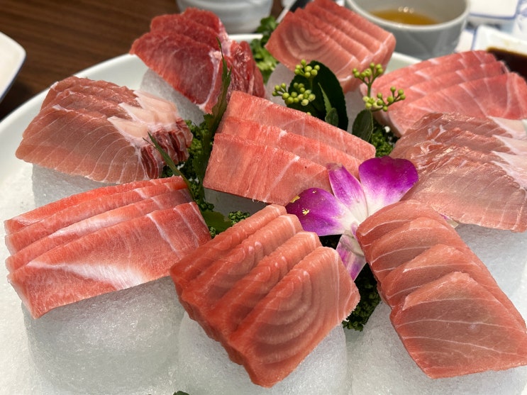 이천 터미널 최고급 참치 맛집 고급스러운 분위기의 프라이빗룸이 있는 동신참치 이천점 네이버 블로그