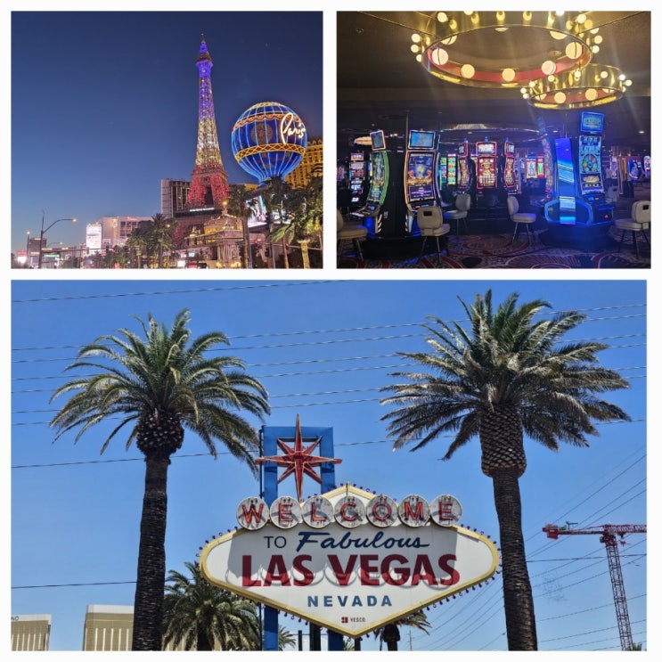 2층버스(Ride RTC)로 둘러보는, 라스베가스 호텔투어~ 라스베이거스 여행 : 네이버 블로그