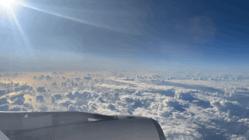 티웨이 TW501, TW502 눕코노미 탑승 후기 및 준비물, 티웨이 항공 온라인 체크인 시간 : 네이버 블로그