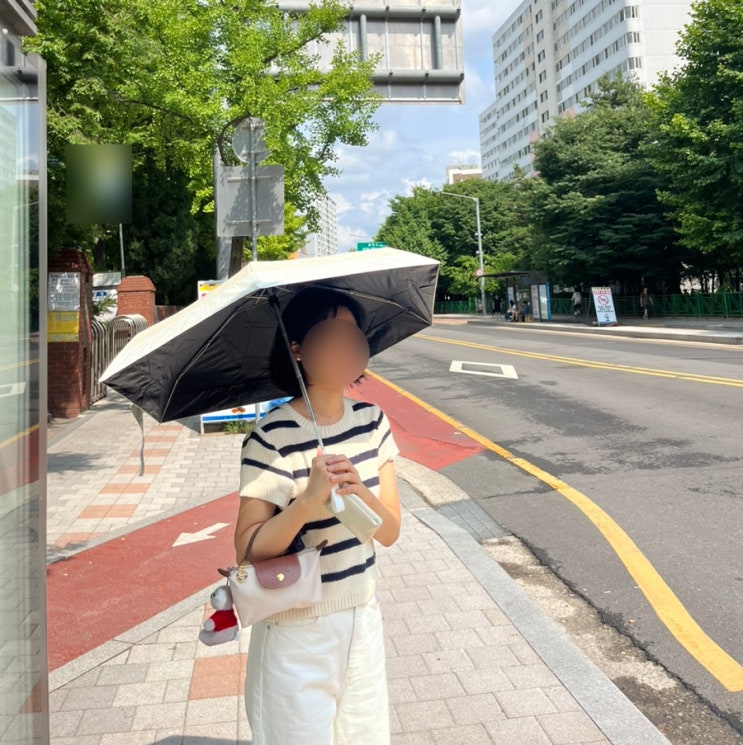 WPC 양산 5단 우양산 내돈내산 사용 후기 ft. 29CM 이굿위크 : 네이버 블로그