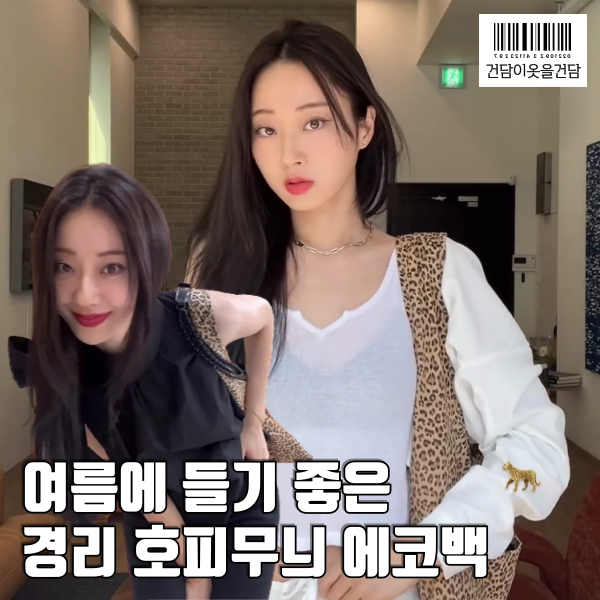 연예인 경리 호피무늬 에코백 브랜드가 궁금해? : 네이버 블로그