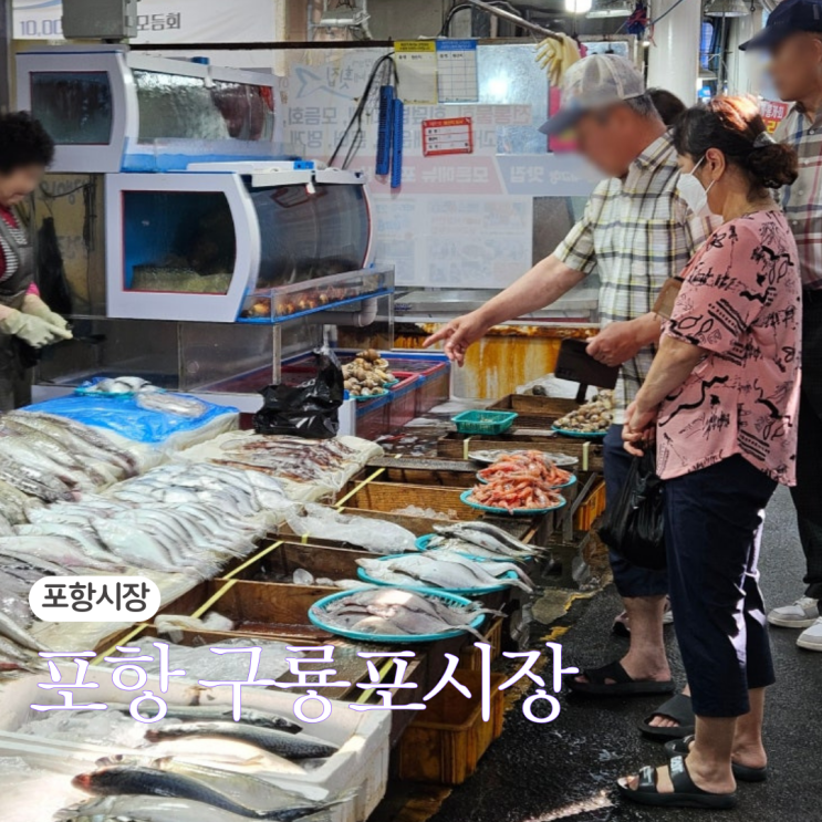구룡포시장 활어회 시세 연지홍게 포장 볼거리 먹거리 네이버 블로그