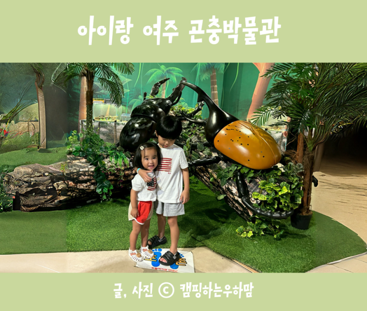 여주 곤충 박물관 체험 아이랑 제대로 즐기기 네이버 블로그