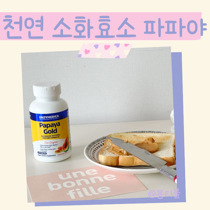 소화효소 추천 엔자이메디카 소화제 파파야 네이버 블로그