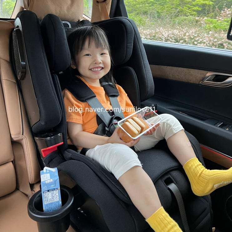 다이치 브이가드 토들러카시트 카시트추천 다이치리우카시트 : 네이버 블로그