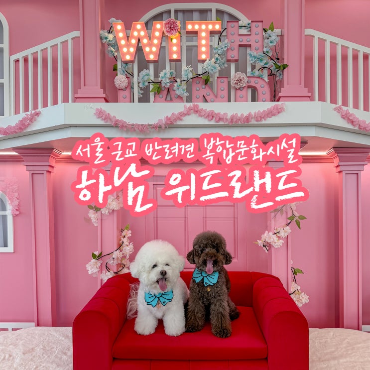 서울 근교 애견카페 하남 위드랜드 다녀왔어요 실내도 실외 운동장도 깔끔해서 만족 네이버 블로그