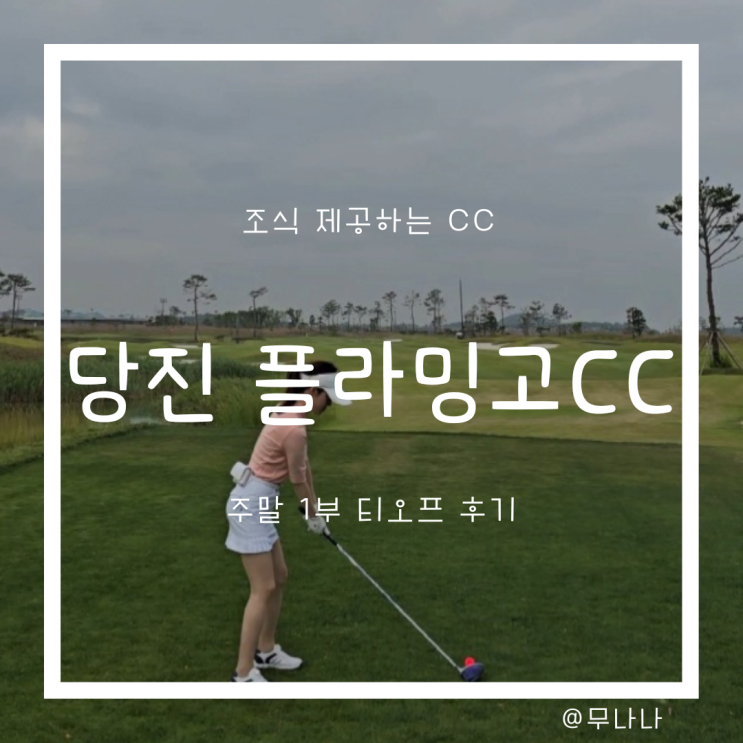당진 플라밍고cc 주말 1부 그린피 듄스 링크스 코스 네이버 블로그