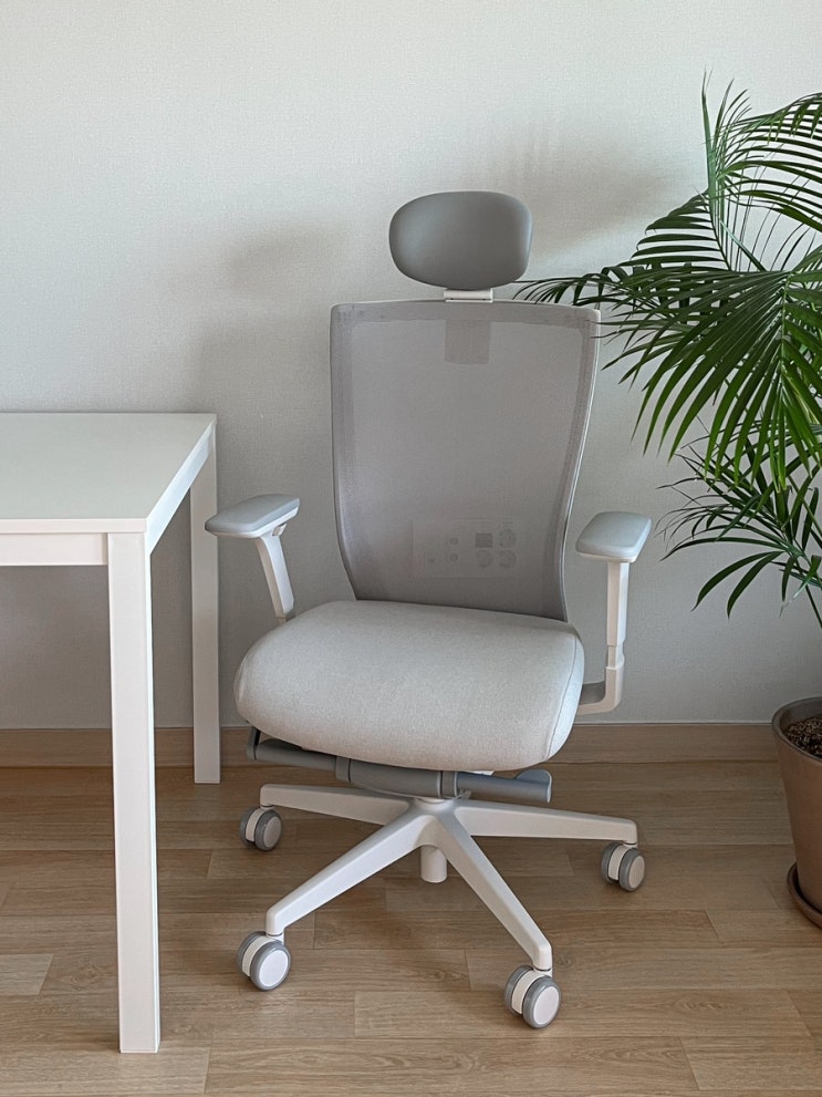 허리 편한 시디즈 의자 T50 HA 내돈내산 후기 : 네이버 블로그