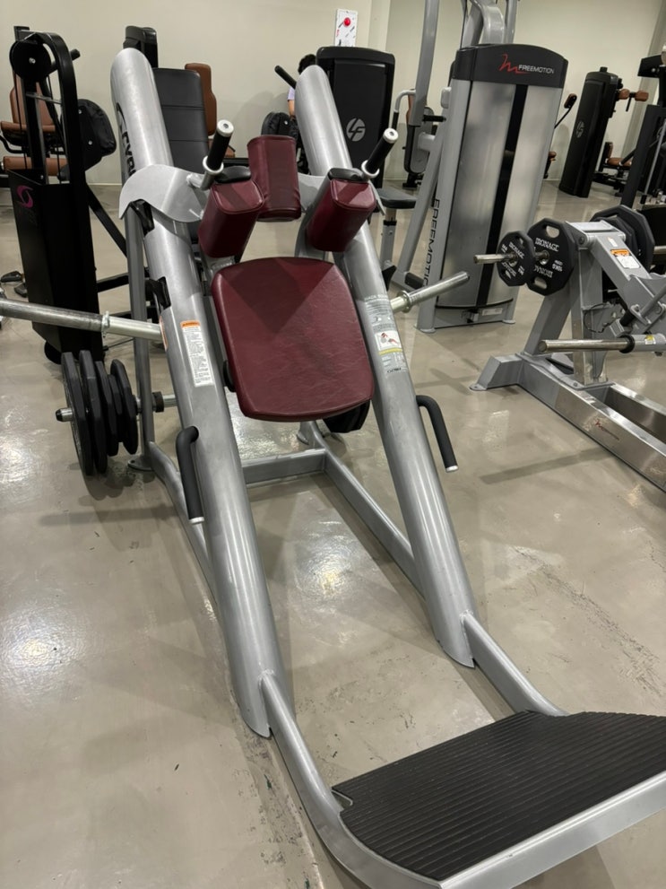 기구 맛집인 몰리짐 하체 운동 기구 라인업을 소개합니다 [장기동헬스/죽전헬스] : 네이버 블로그