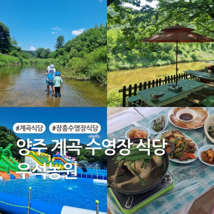 장흥 수영장과 계곡물놀이 가능한 우석농원 솔직후기 네이버 블로그