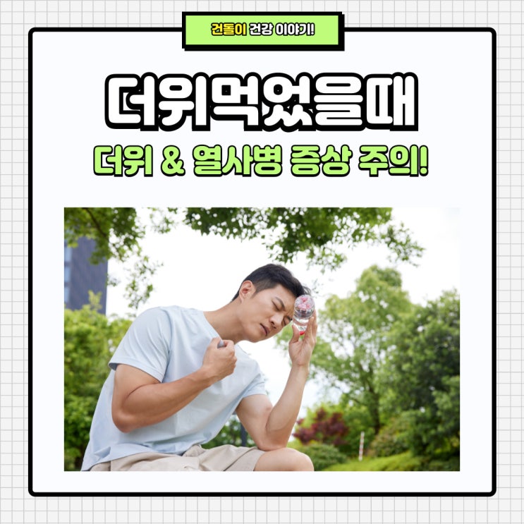 더위먹었을때 증상 대처법 And 더위먹었을때 음식 종류 네이버 블로그
