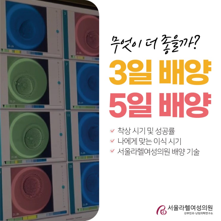시험관아기 3일 배양과 5일 배양 차이점 성공률 착상 시기 장단점 네이버 블로그