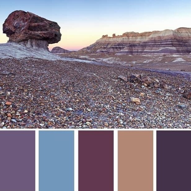 자연을 닮은 던에드워드 컬러 VOL.6 : 네이버 블로그