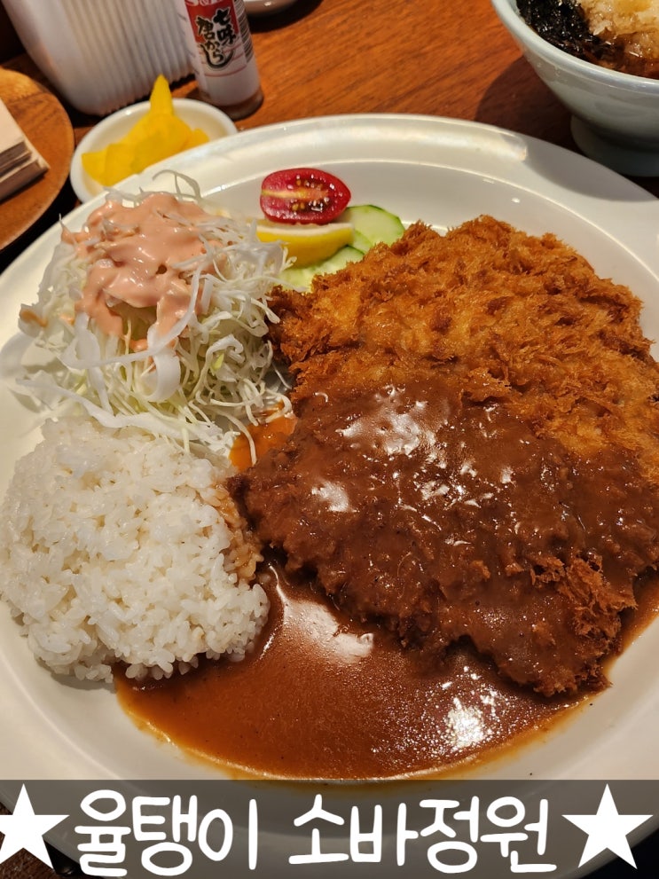 소바정원 잠실 소바 잠실 냉모밀and돈까스 송파 돈까스 잠실 치킨가라아게 맛집 잠실 경양식돈까스 네이버 블로그