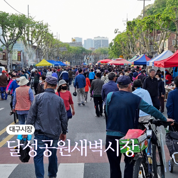 대구 달성공원 새벽시장 운영시간 볼거리 먹거리 네이버 블로그