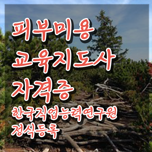 피부관리사 피부미용교육지도사 자격증 합격한 팁 최단기간 취득한 과정 네이버 블로그