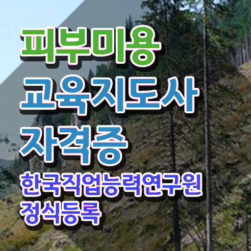 피부미용실기 피부미용교육지도사 자격증 1급2급 동시에 취득했던 후기 및 취업 전망 네이버 블로그