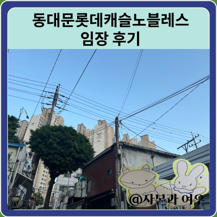 동대문롯데캐슬노블레스 임장 한눈에 보기 네이버 블로그