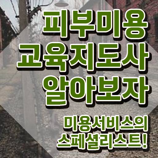 피부과 피부관리사 피부미용교육지도사 자격증 준비한 과정 알아볼게요 네이버 블로그