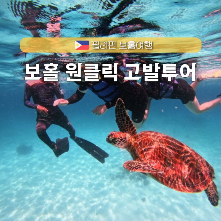 보홀 호핑투어 추천 원클릭 고발투어 후기 고래상어 발리카삭 거북이 스노쿨링 네이버 블로그
