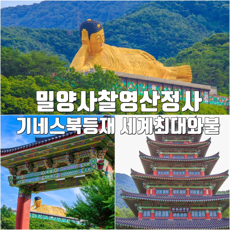 경남 밀양 절 사찰 영산정사 세계 최대 와불과 기네스북 등재 사찰 네이버 블로그