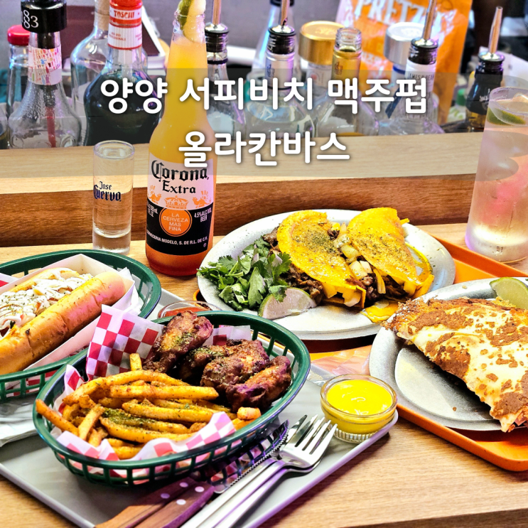 양양 양리단길 양양 하조대 근처 맛집 올라칸바스 양양 서피비치 맥주펍 추천 네이버 블로그