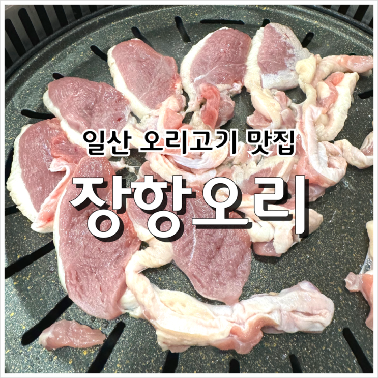 일산오리고기 맛집 장항오리 모든 음식이 다 맛있는 집 네이버 블로그