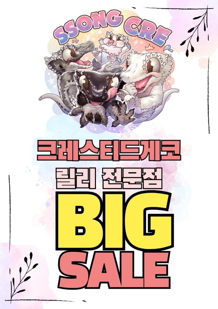 광주 파충류샵 쏭크레 크레스티드게코 행사가 진행중 네이버 블로그
