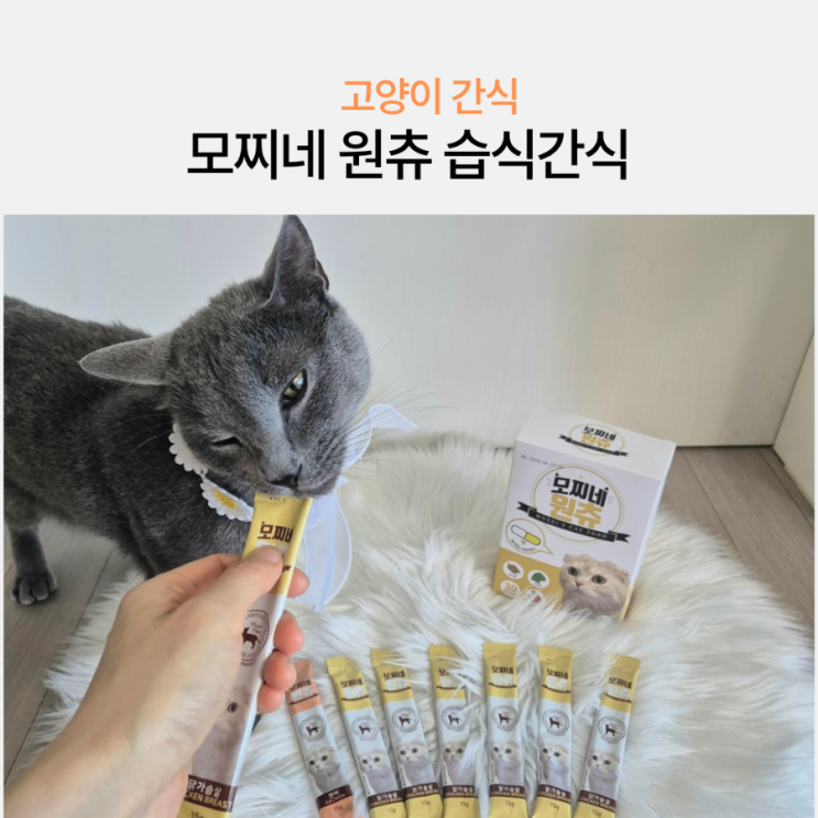 고양이습식 모찌네 원츄 짜먹는 스틱 고양이간식 급여 후기네이버펫 네이버 블로그