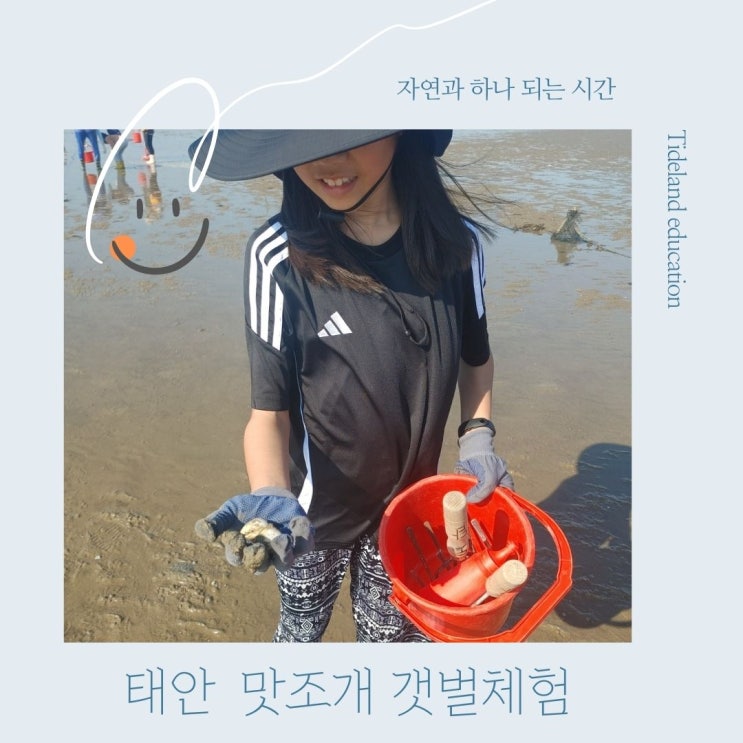 자연과 하나되는 여름휴가 태안 맛조개 갯벌체험 추억 만들기 네이버 블로그
