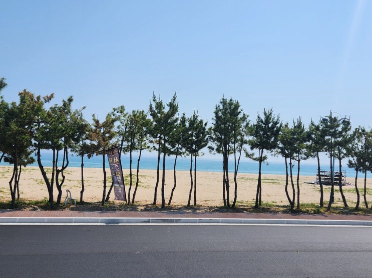 하조대 서핑해변 접한 상업용 토지임대매매 양양하조대토지 하조대해변접한토지 하조대땅매매 하조대해수욕장땅 양양바닷