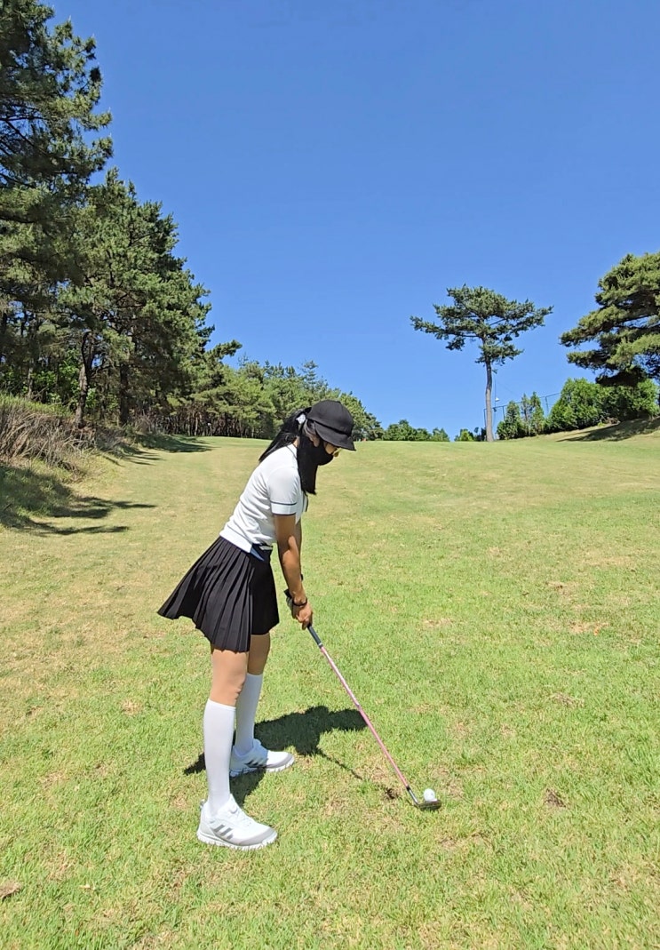 브릿지스톤 골프 V300 9 여자 여성 단조 아이언 여성 골프채 세트 추천 : 네이버 블로그