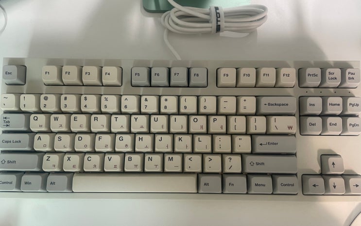 [내돈내산]그루브스톤(엠스톤) 그루브GV8 텐키리스 저소음 코랄축(45g) 라이트MA 맥 호환 : 네이버 블로그