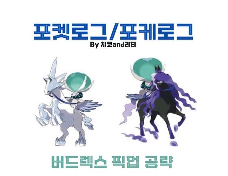 포켓로그포케로그 버드렉스 픽업 가챠 공략 알기술 성격 백마와 흑마 고삐 폼체인지 네이버 블로그