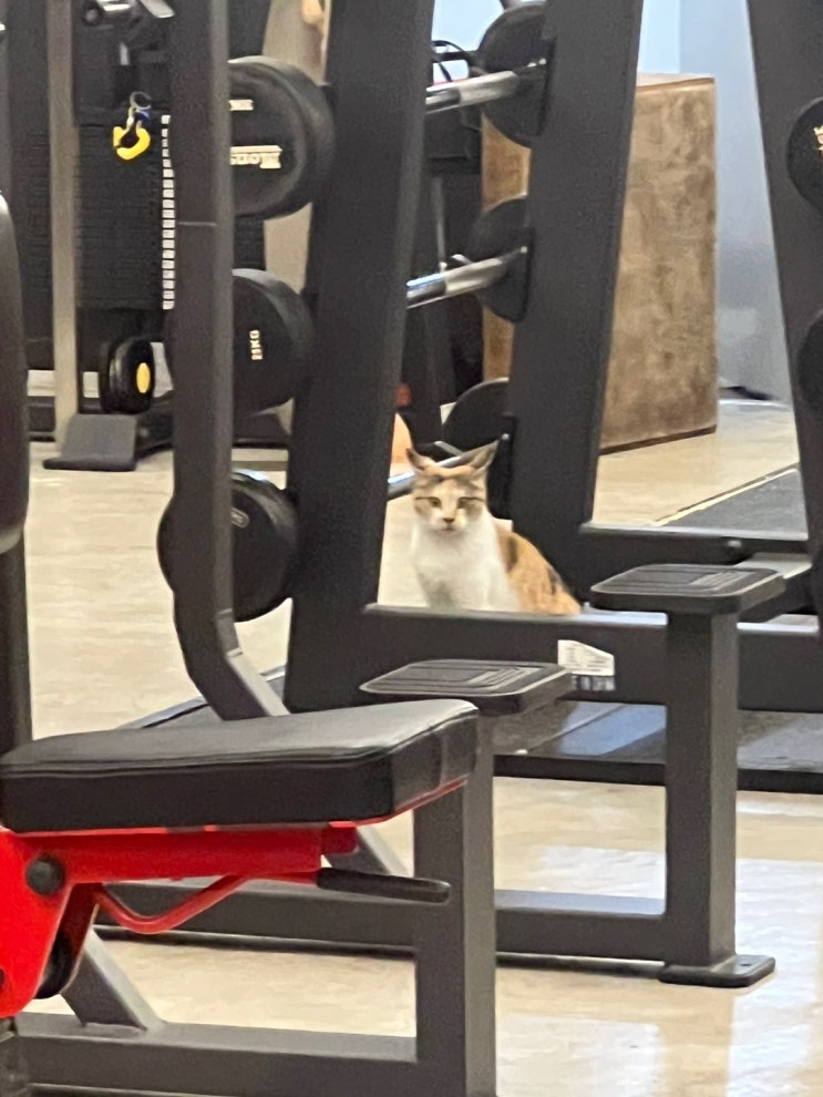 광안리헬스가정의달 광안동헬스 24시 헬스장 수영헬스연중무휴헬스장 휴바디휴바디휘트니스 나이를 먹을수록 살이 안빠지는