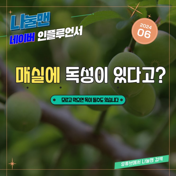 매실청 효능 매실 액기스 매실주 간기능 개선 영양제 천연소화제 독성주의 네이버 블로그